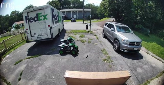 Dog Scares FedEx Driver - Sharedots