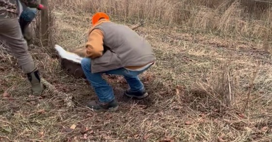 Three Guys Rescue a Deer Stuck in a Fence - Sharedots