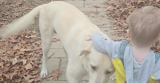 Little Overalls Fall Off - Sharedots