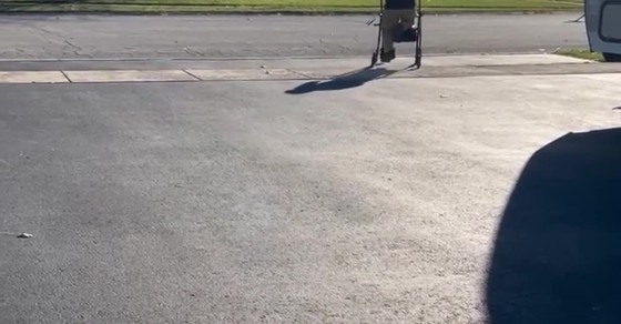 Walker Fail - Sharedots