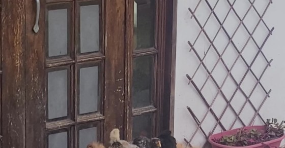 The Best Nanny Ever - Sharedots