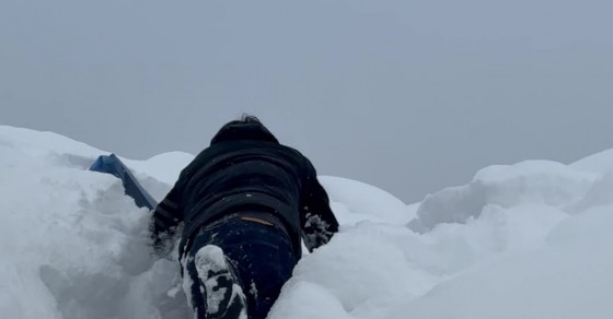 My Son Fell in the Snow - Sharedots