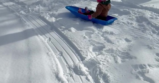 Baby Sleds Into Tree - Sharedots