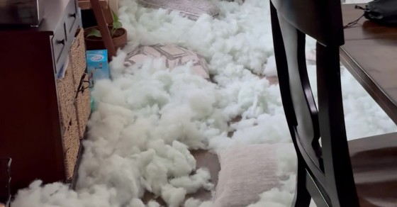 Kids Unzip Cushions and Make Mess of Stuffing - Sharedots